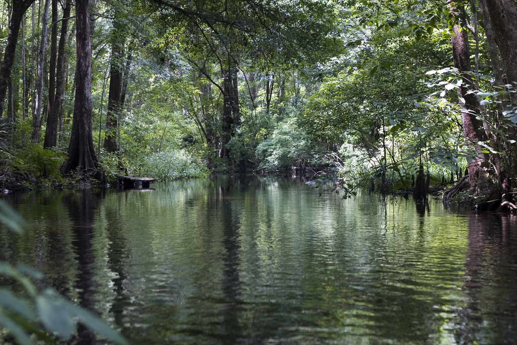 A Bit of the River Rat | Traveler’s Tales